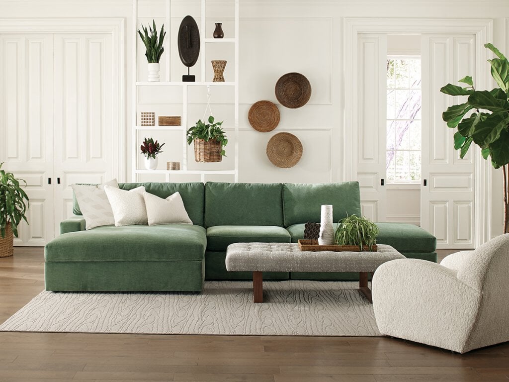 Jonathan Louis Bingham Collection