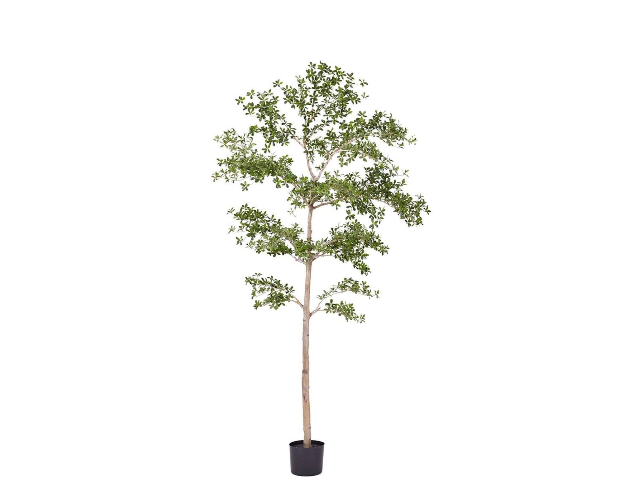 9' Faux Shady Lady Tree | Plants & Planters | City Home PDX