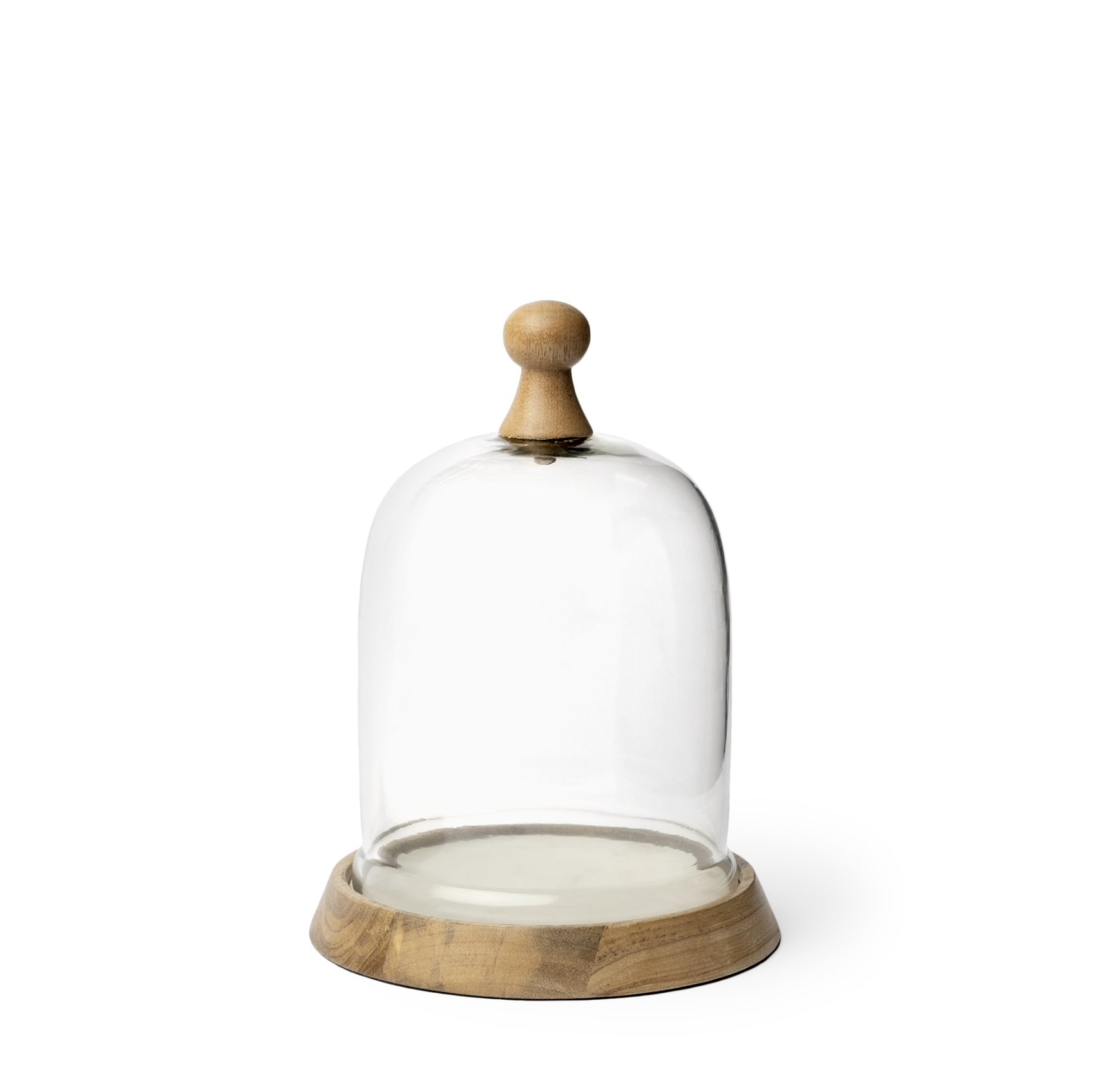 Campana I Small Glass Cloche | Decor | City Home PDX