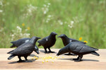 Cast-Iron Decorative Crows | City Home