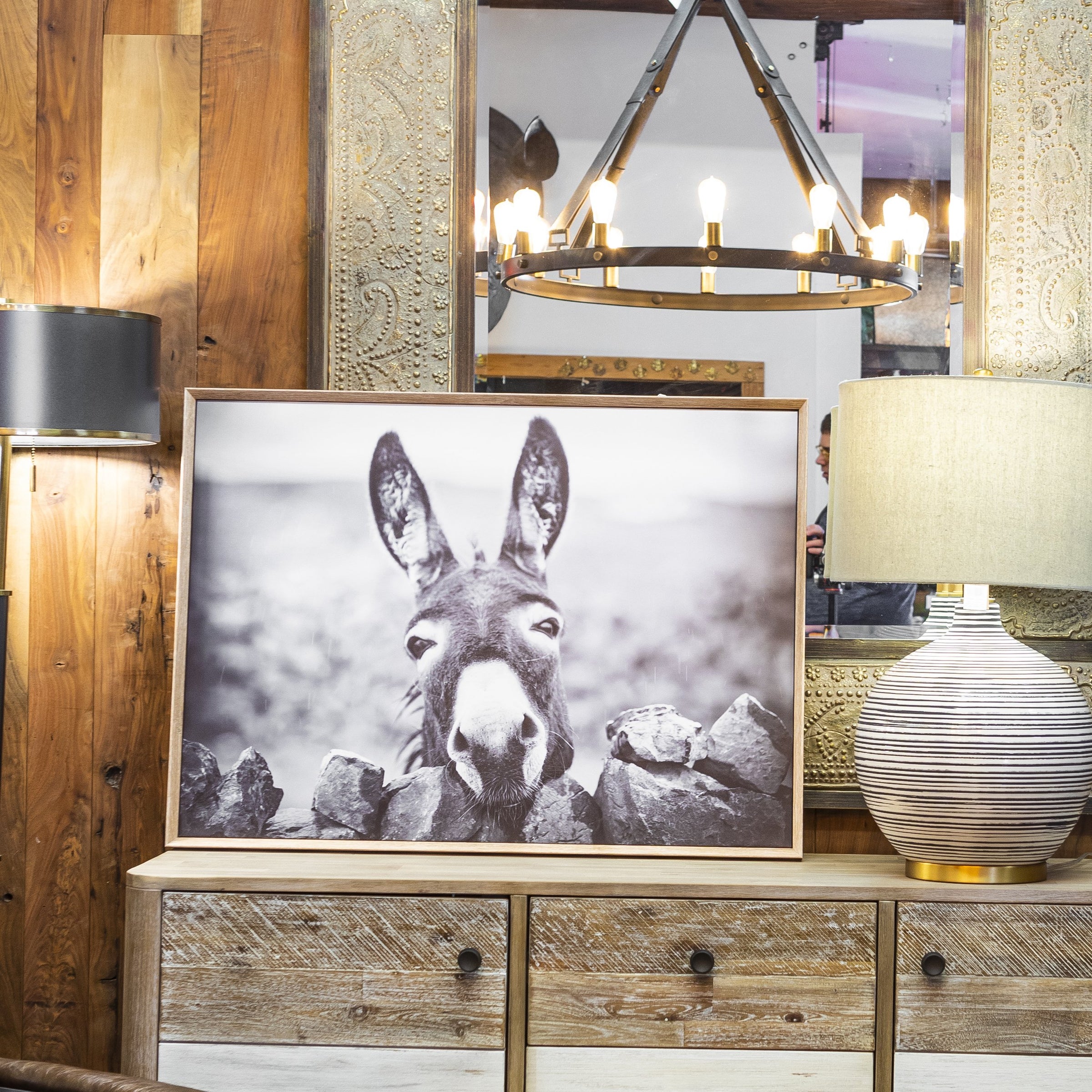 Framed Canvas Photo Print - Donkey | Farmhouse Art | City Home